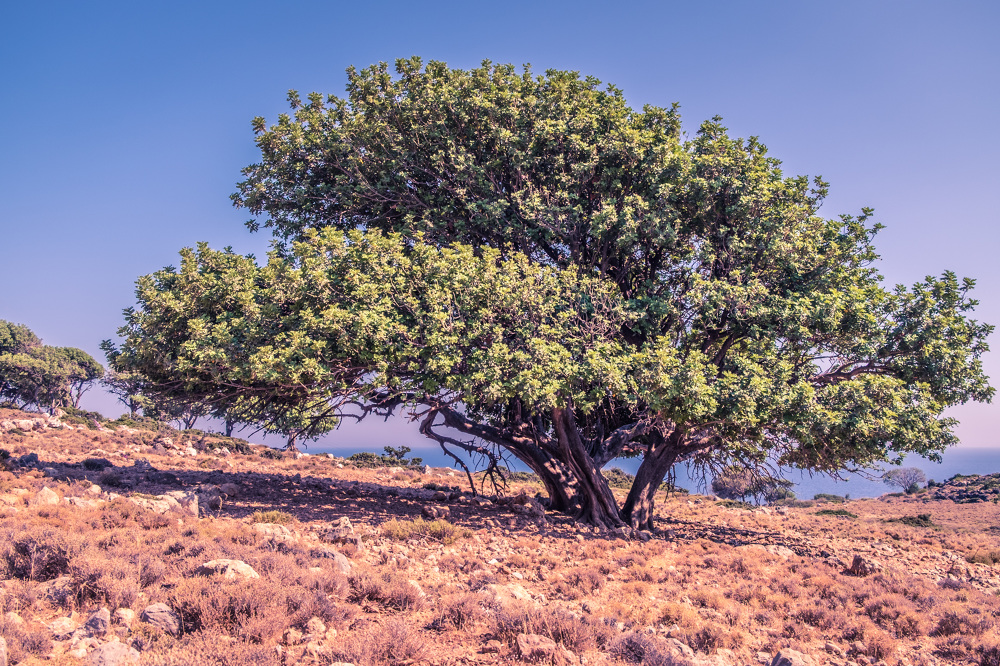 SECRET CRETA - Nicolas Jardry Photography