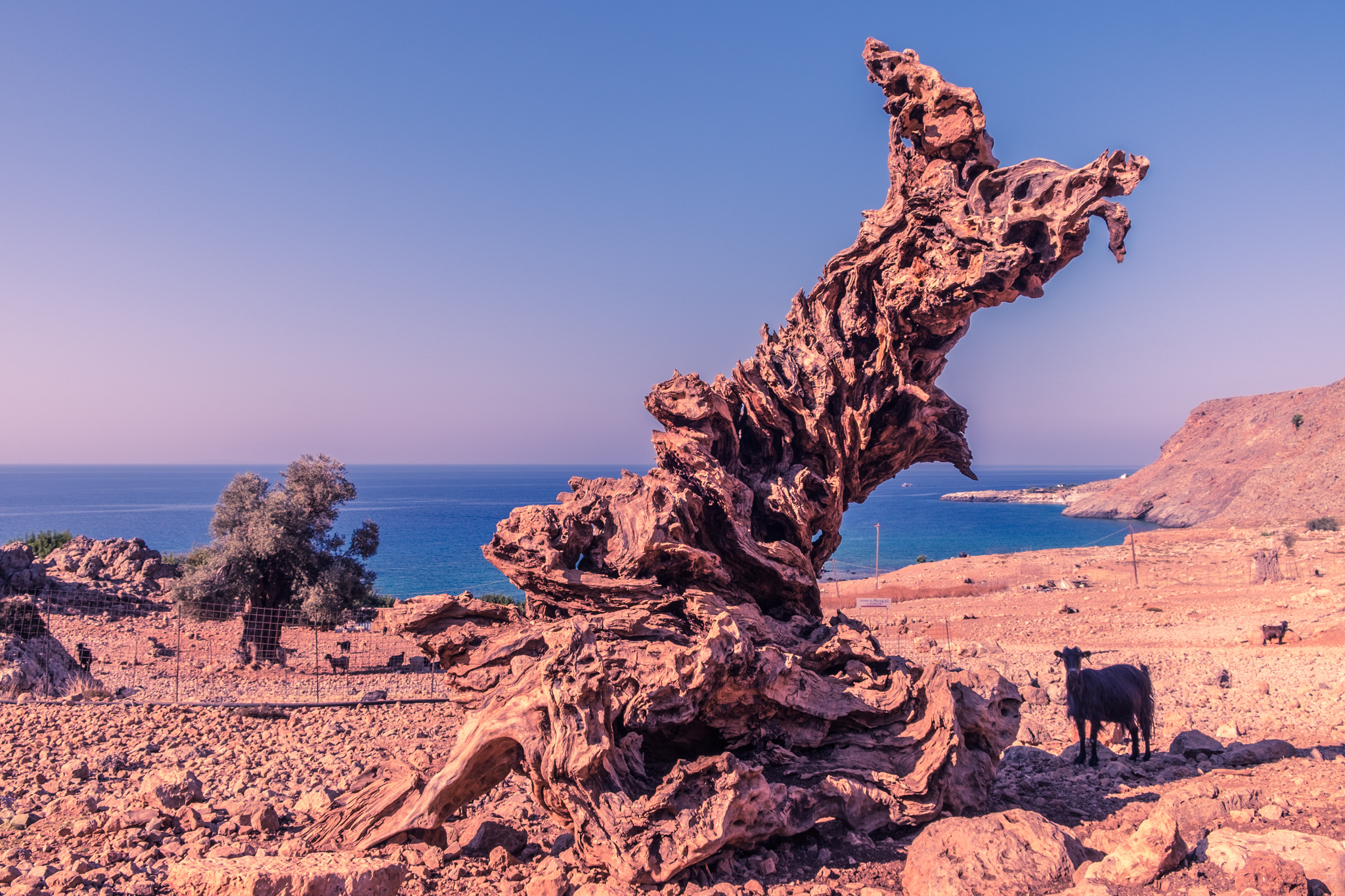 SECRET CRETA - Nicolas Jardry Photography