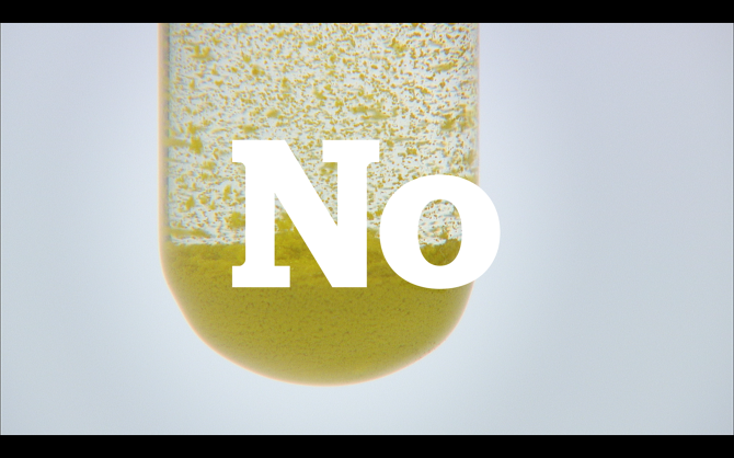 Panera Commercial Rosa Callejas