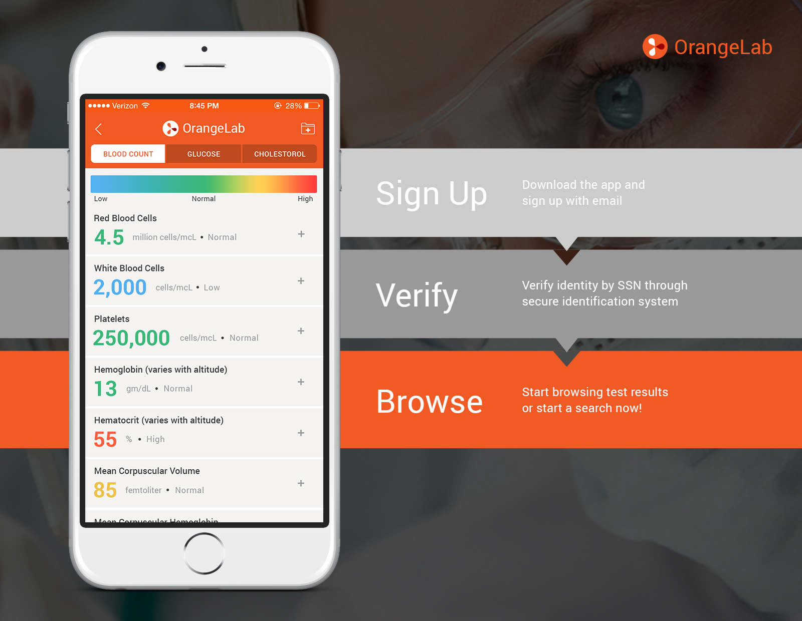 Project/OrangeLab - Ginger Shiue