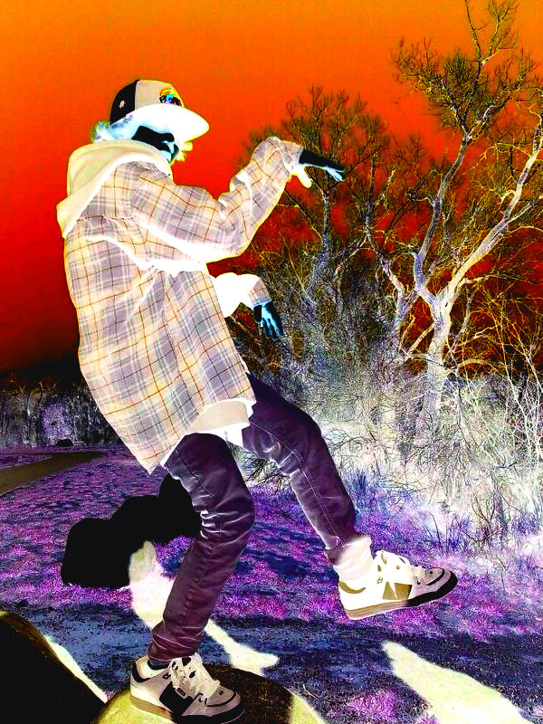 Cheyenne Richardson Art