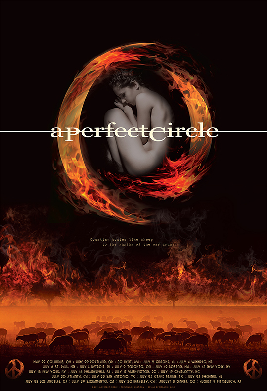 A Perfect Circle 2011 Tour Poster YOUnique Graphics
