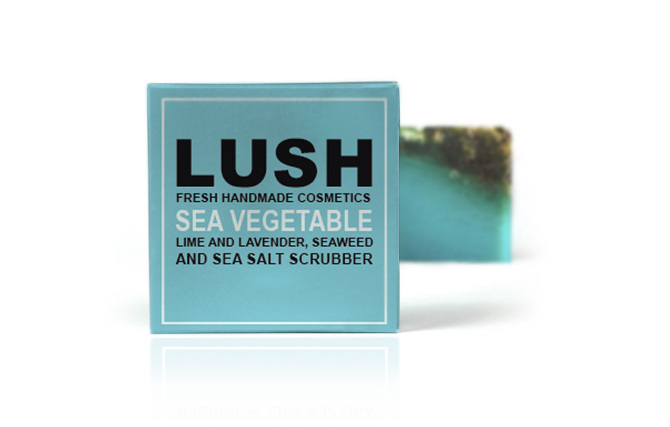 Lush - Sangeun's Portfolio