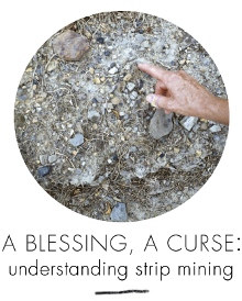 Strip Mining Project