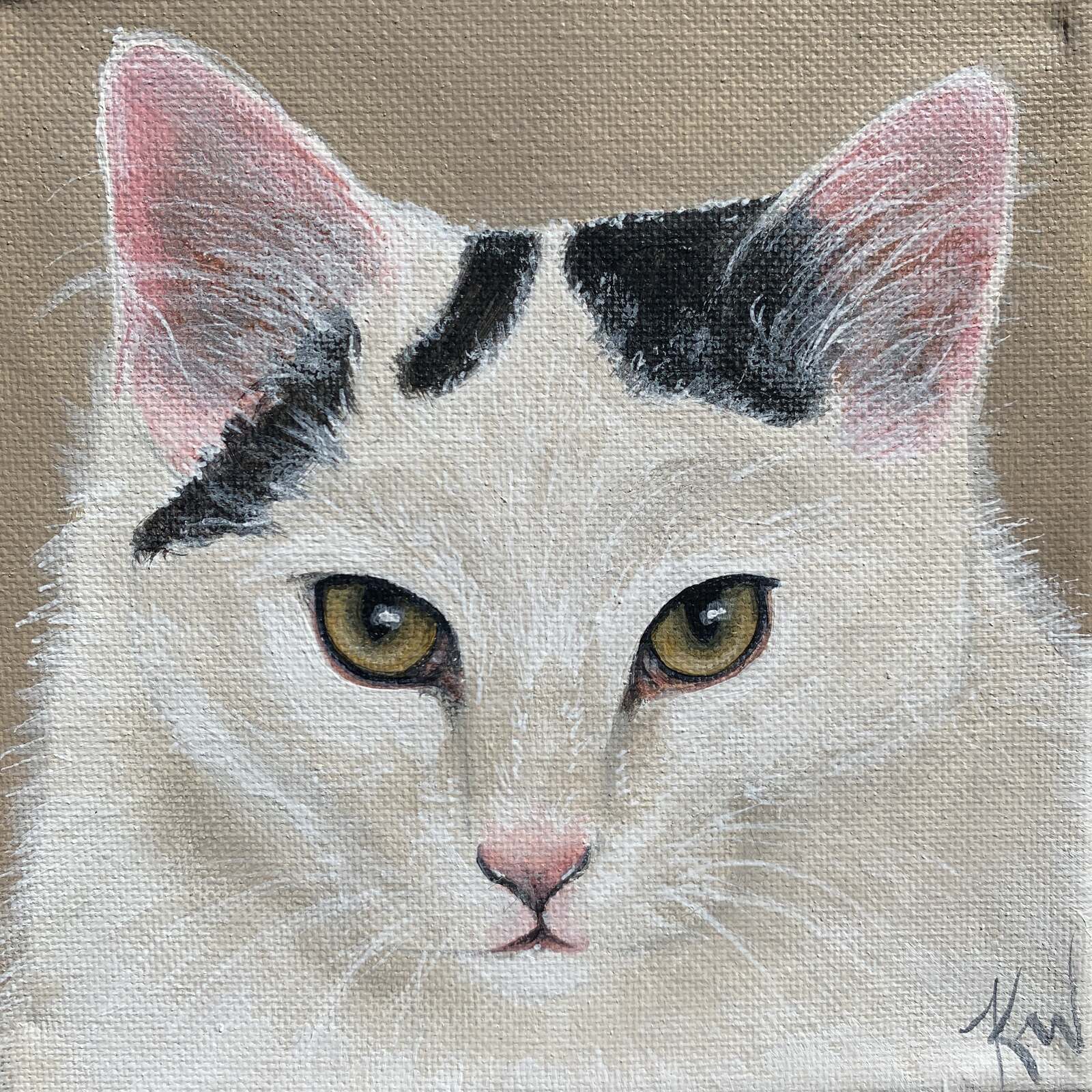 Chewy Pet Portraits - Kali Wallace