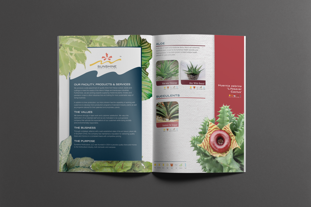 Sunshine Horticulture Brochure - sarahchewdesign
