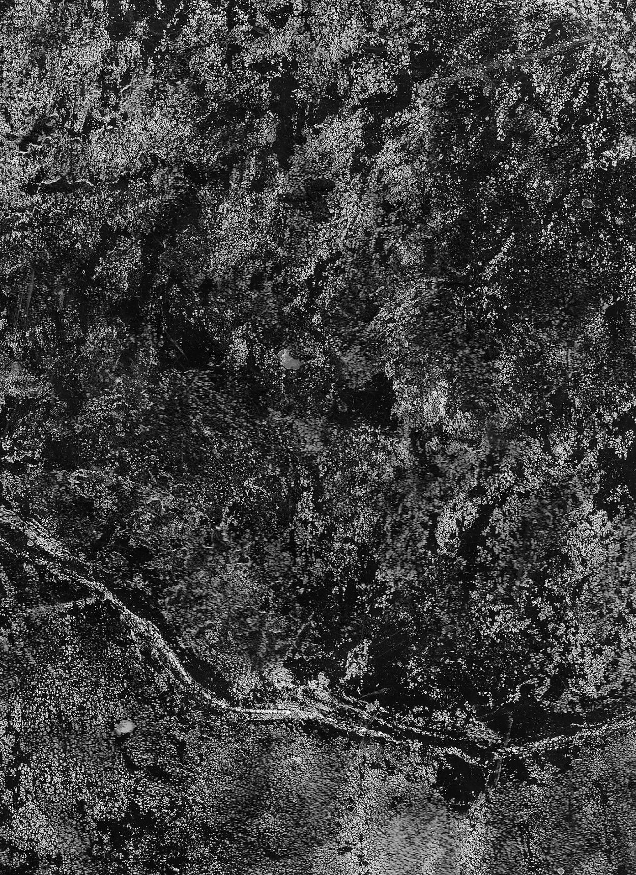 LIV-BCN Exhibition. - Mark Fenlon Design