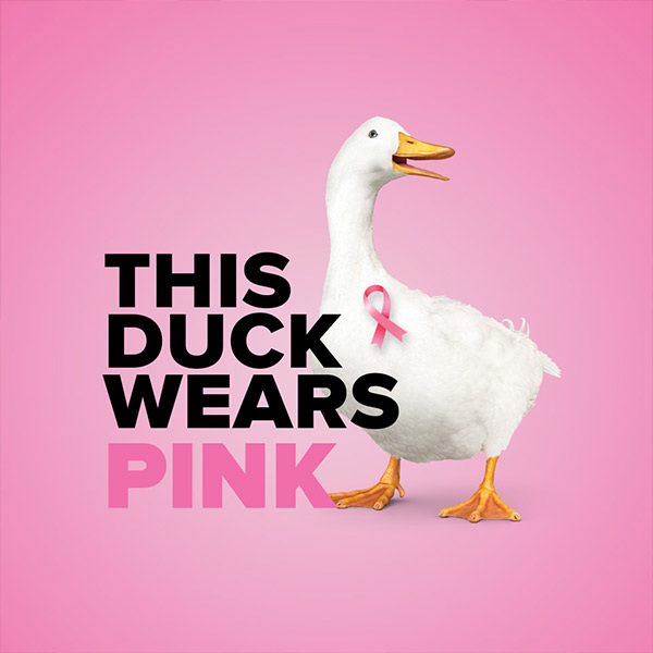 AFLAC - Aaron Knapp: Illustration & Design