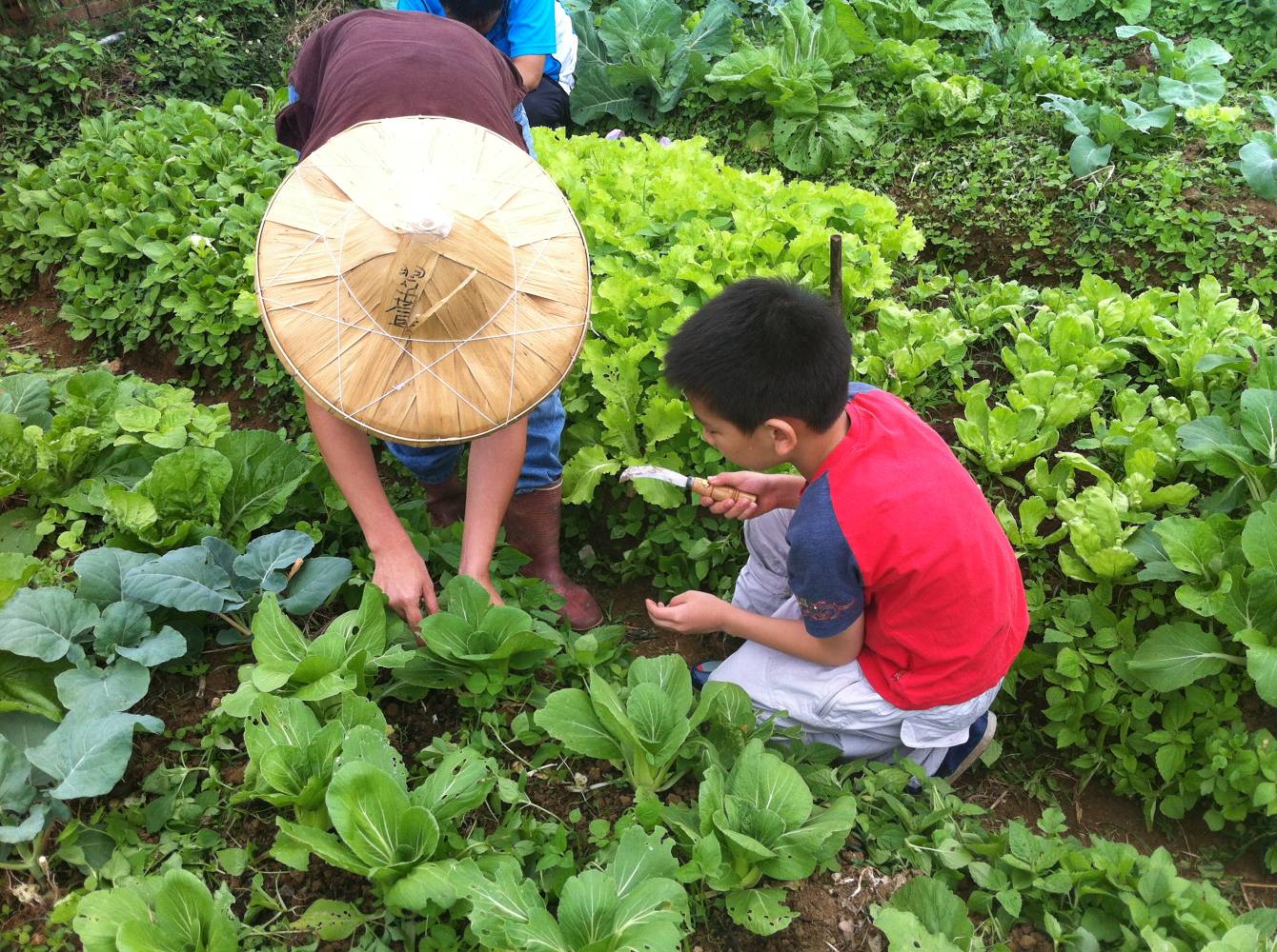 Educational Farming - sproutbrtw