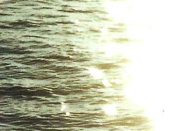 Roma - n_ana maclean