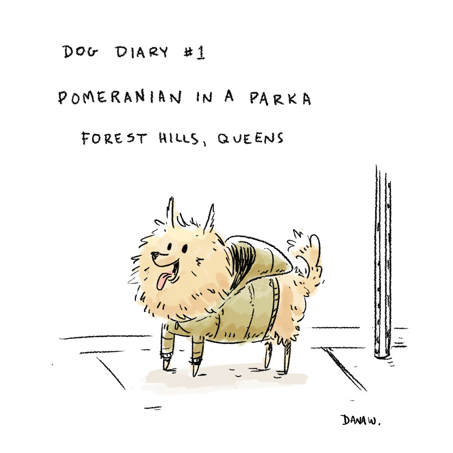 Dog Diaries - Dana Wulfekotte