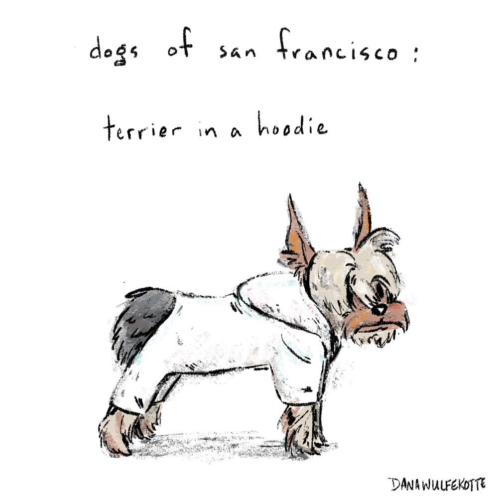 Dog Diaries - Dana Wulfekotte