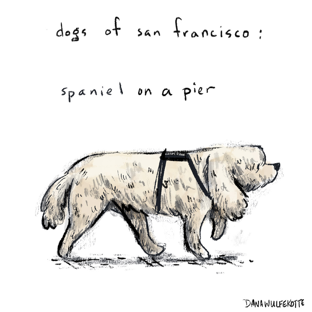 Dog Diaries - Dana Wulfekotte
