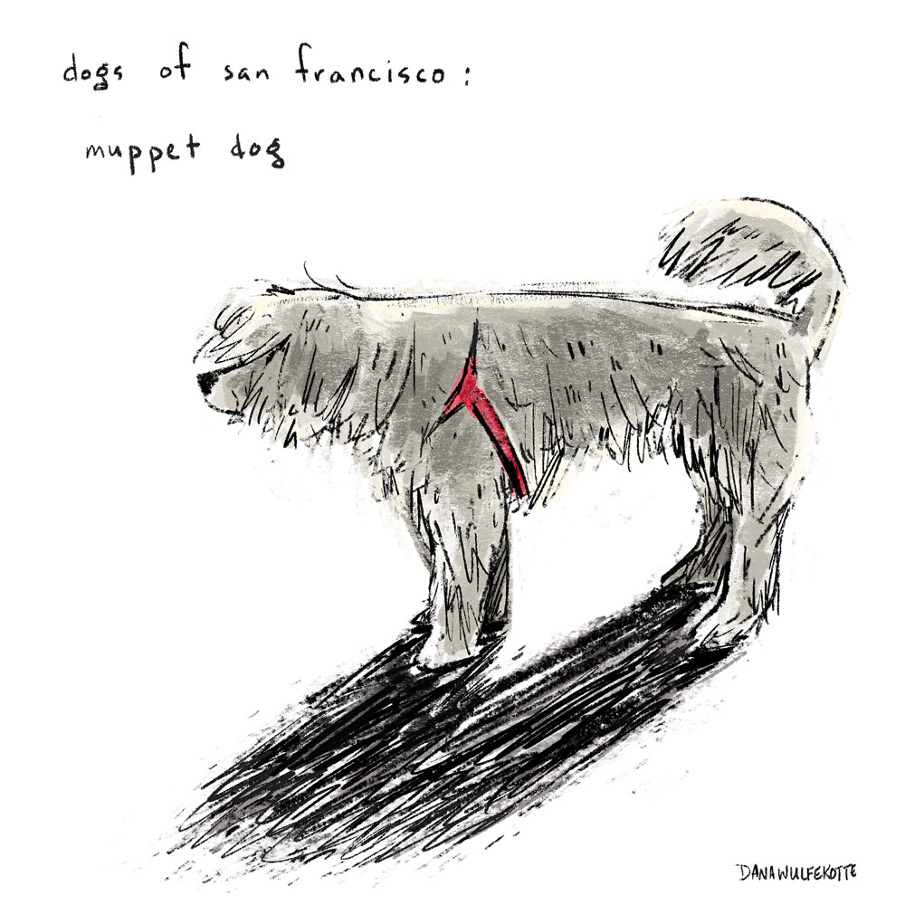 Dog Diaries - Dana Wulfekotte