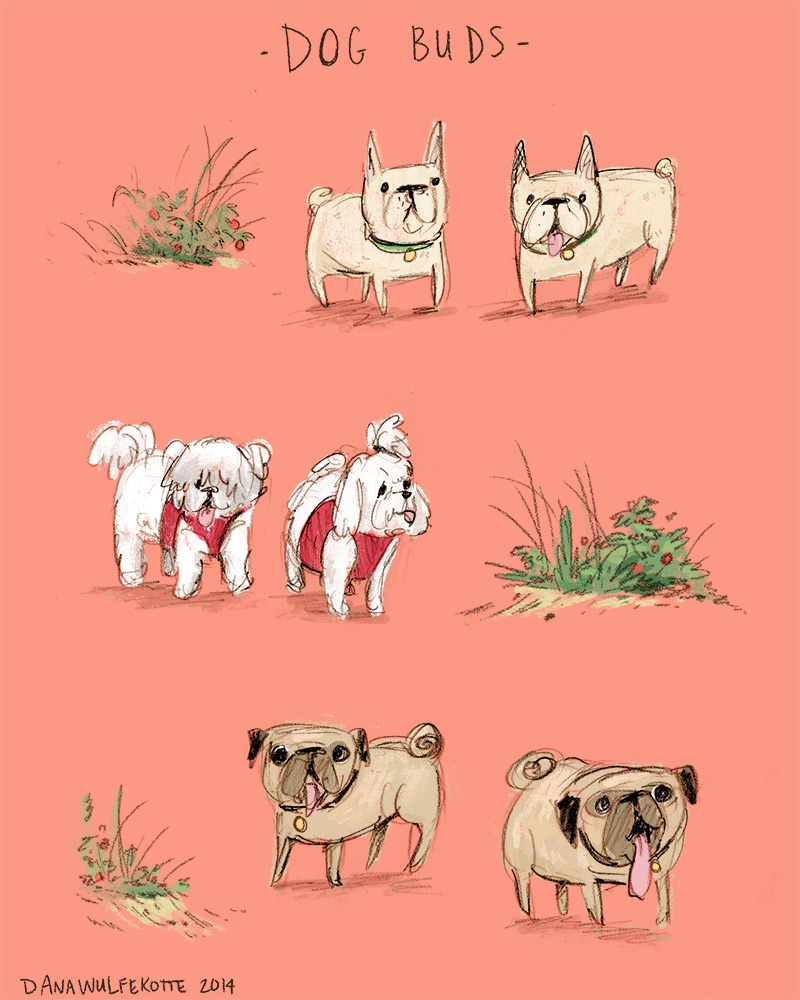 Dog Diaries - Dana Wulfekotte