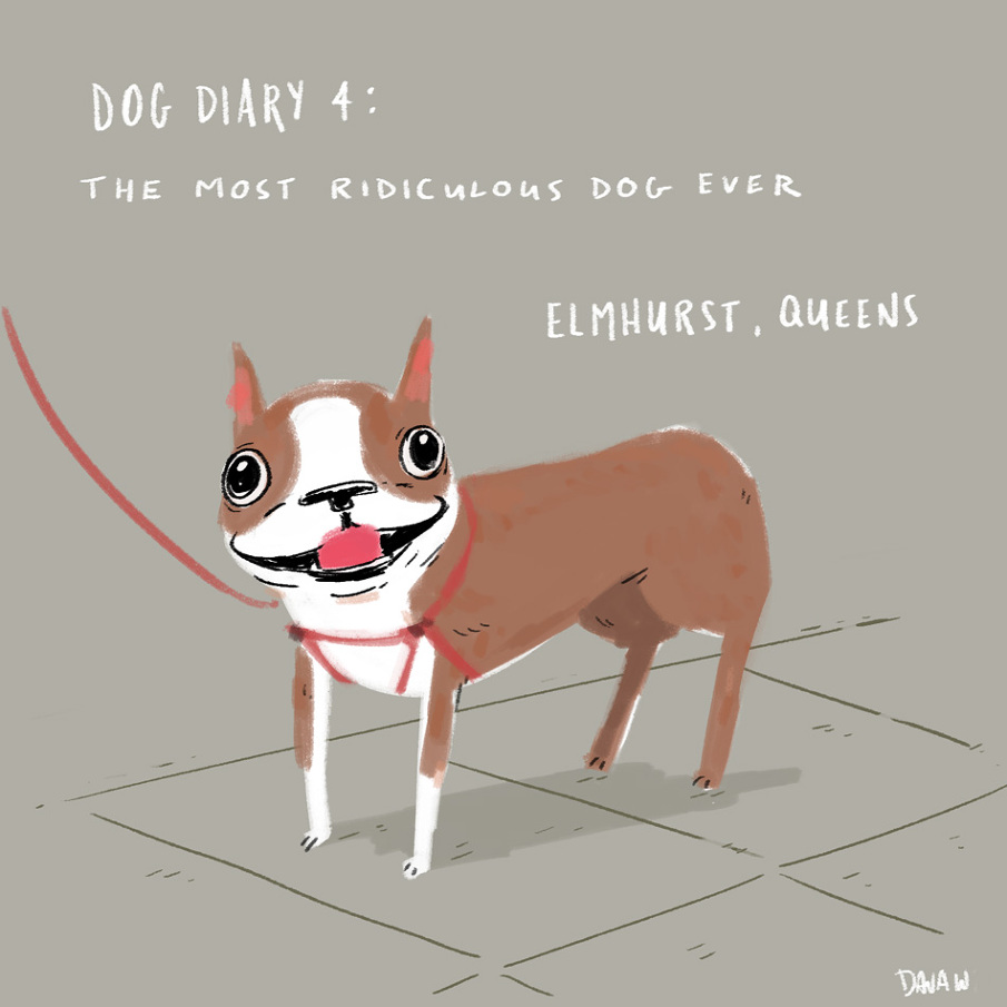 Dog Diaries - Dana Wulfekotte