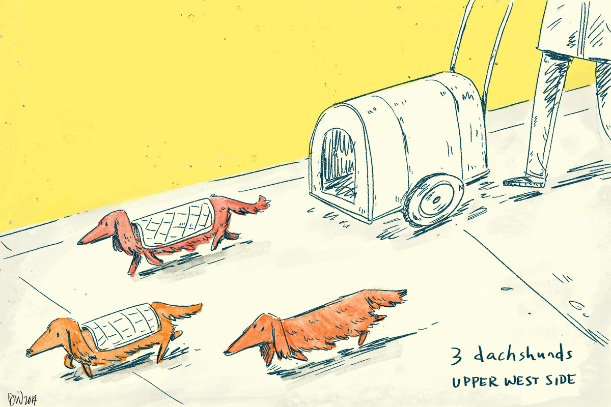 Dog Diaries - Dana Wulfekotte