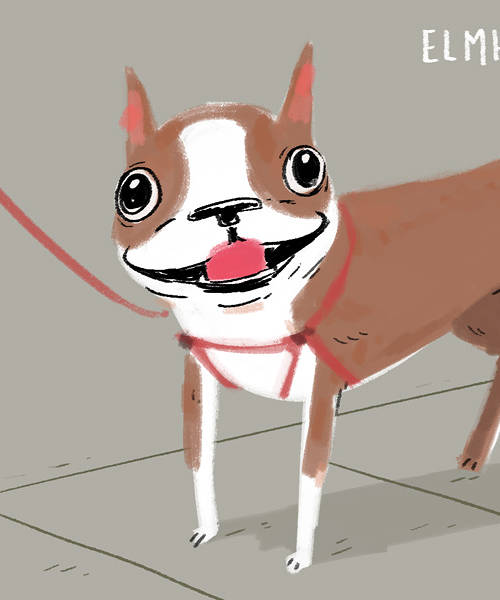 Dog Diaries - Dana Wulfekotte