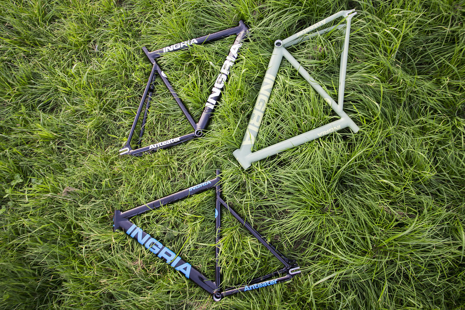 Ingria Anteater - INGRIA