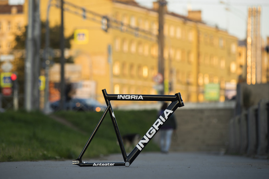 Ingria Anteater - INGRIA