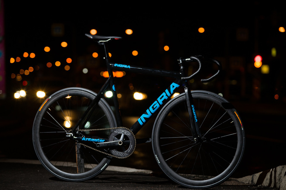 Ingria Anteater - INGRIA