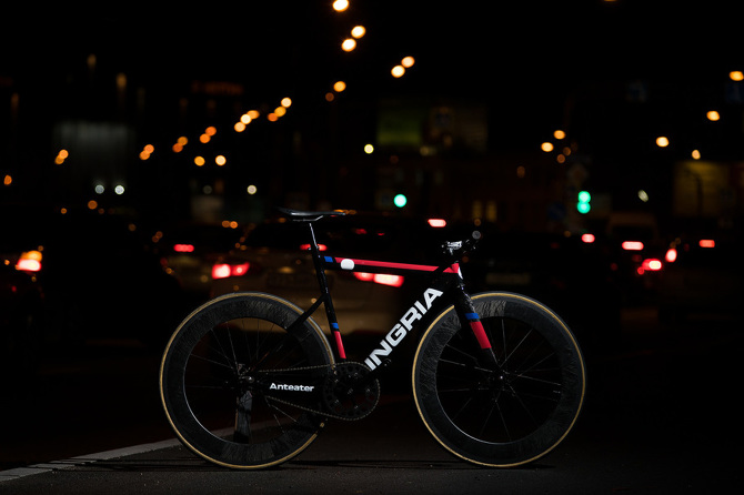 Ingria Anteater - INGRIA