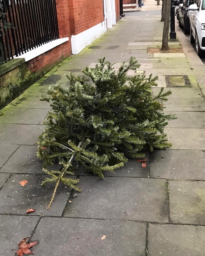 End of Yule - Marissa Stoffer