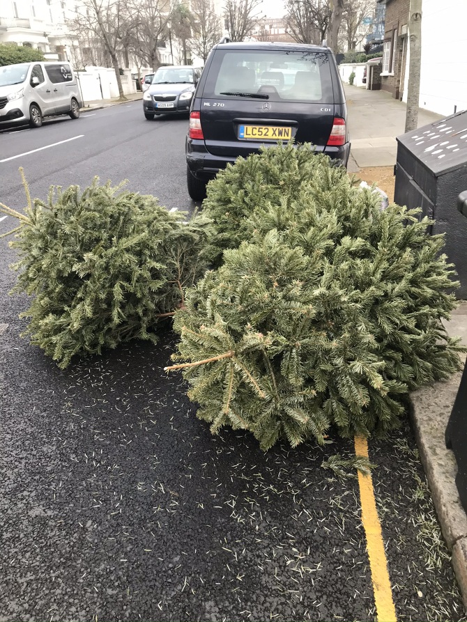 End of Yule - Marissa Stoffer