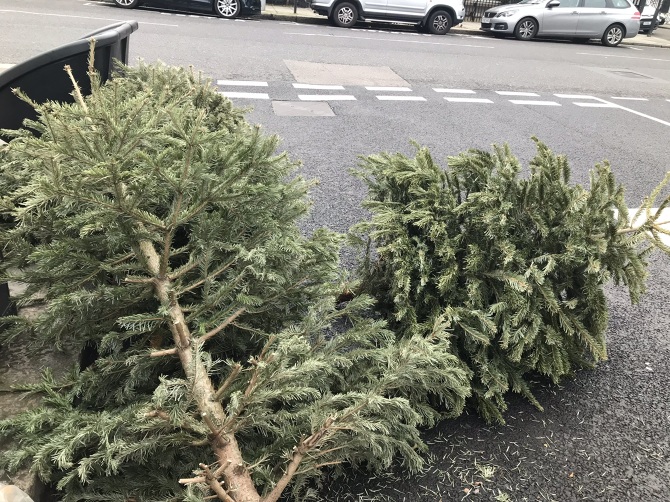 End of Yule - Marissa Stoffer