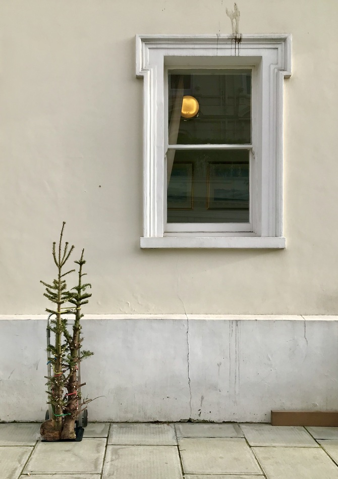 End of Yule - Marissa Stoffer