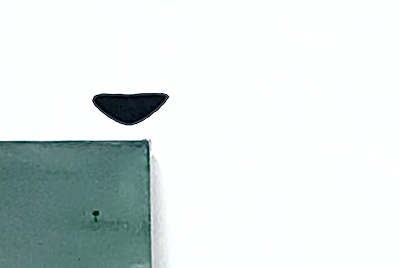 Birch Bean - Marissa Stoffer