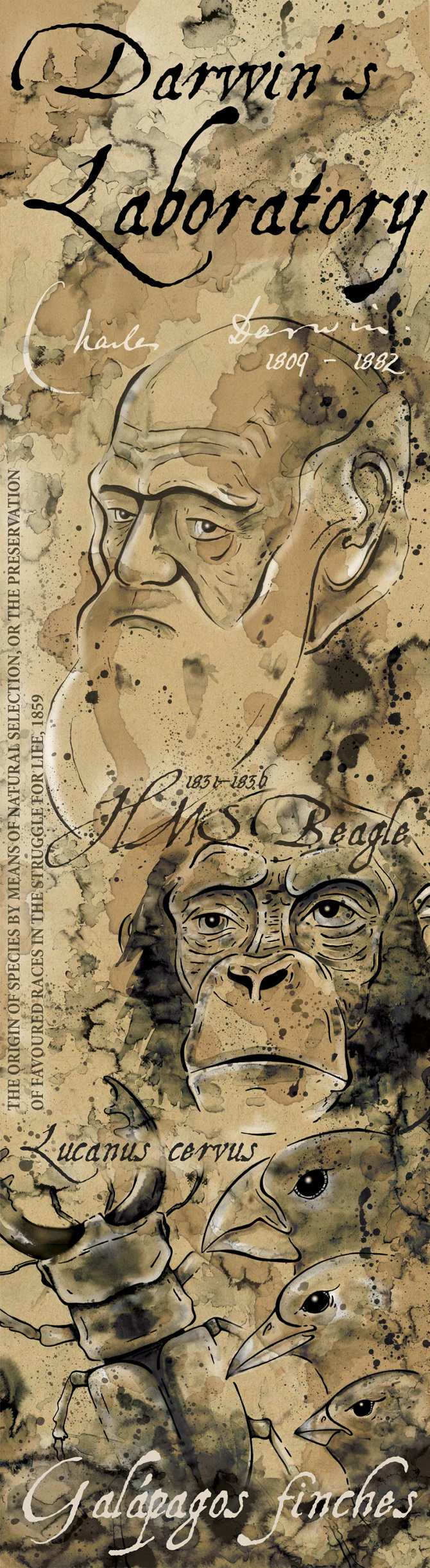 Darwin's Laboratory - James Marsh Illustrations