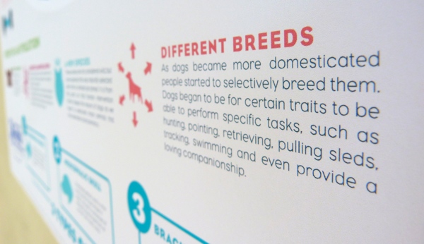 Dogs Evolution - Alice