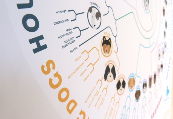 Dogs Evolution - Alice