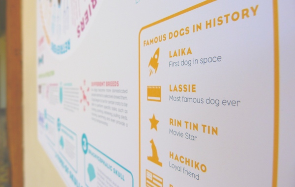 Dogs Evolution - Alice