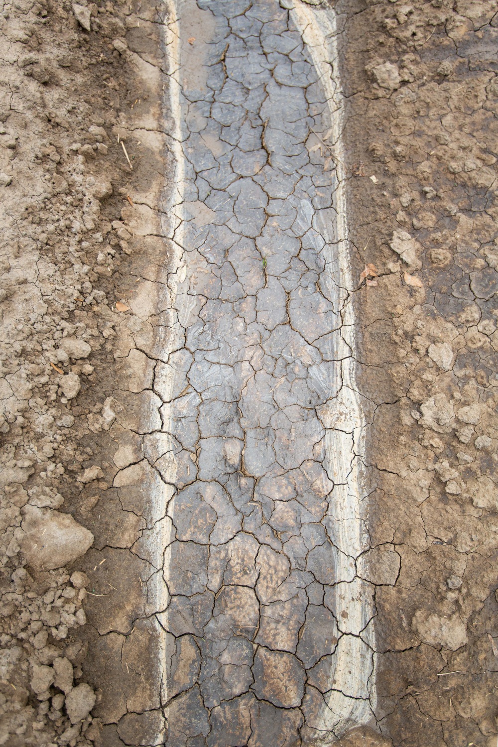 UNU-EHS REPORT, PUNJAB 2023 - POLKA.PHOTOS