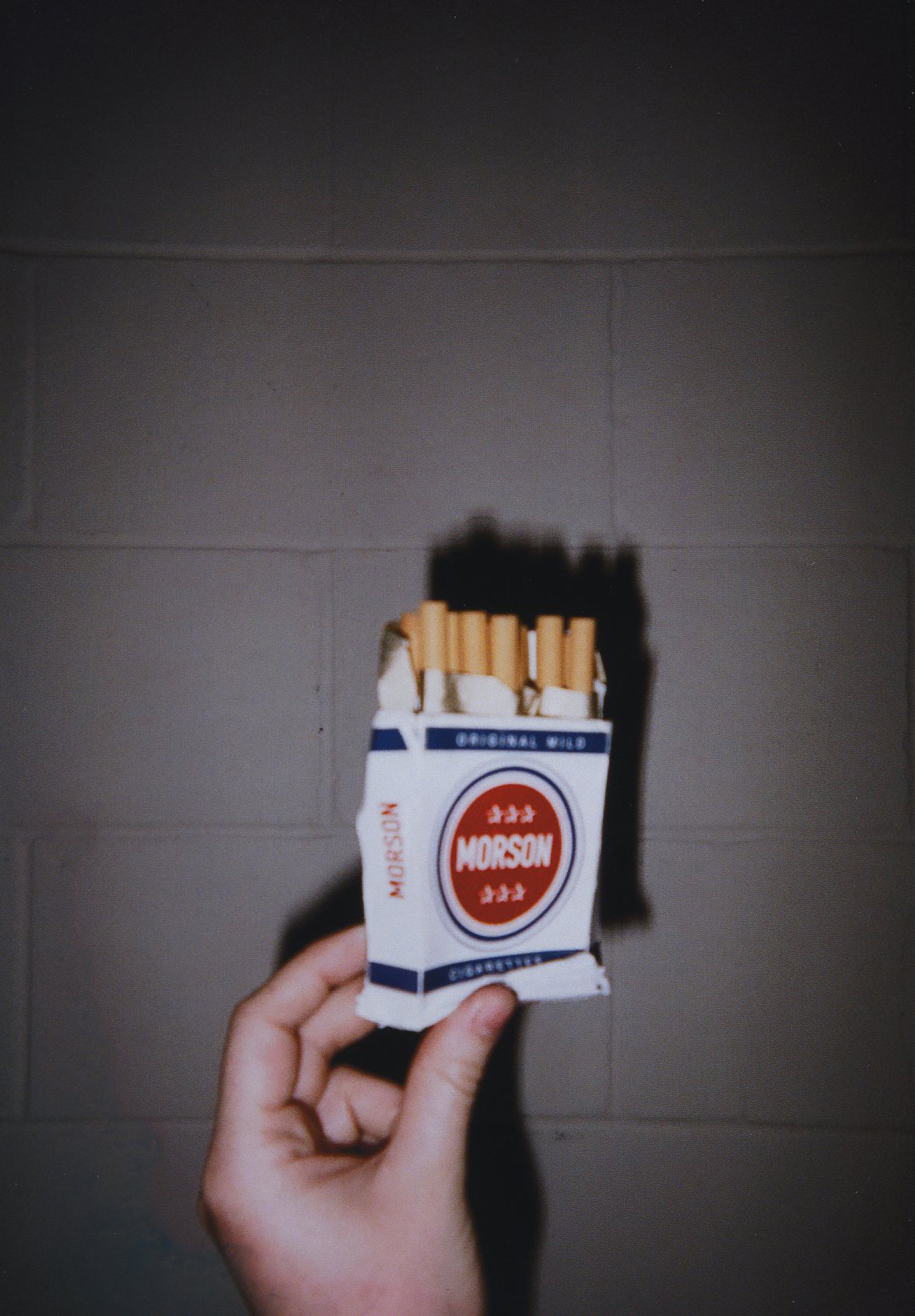 operation avalanche - Cassandra Tice