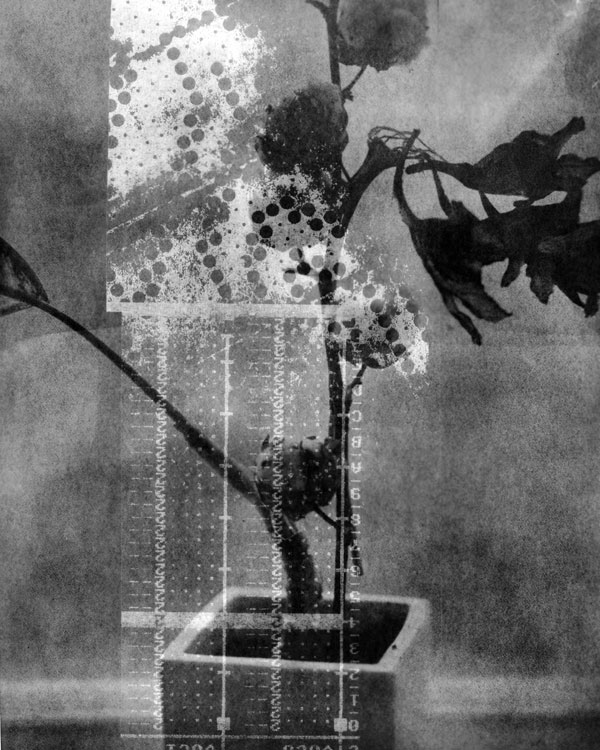 Ghost - Benjamin Goss Photography