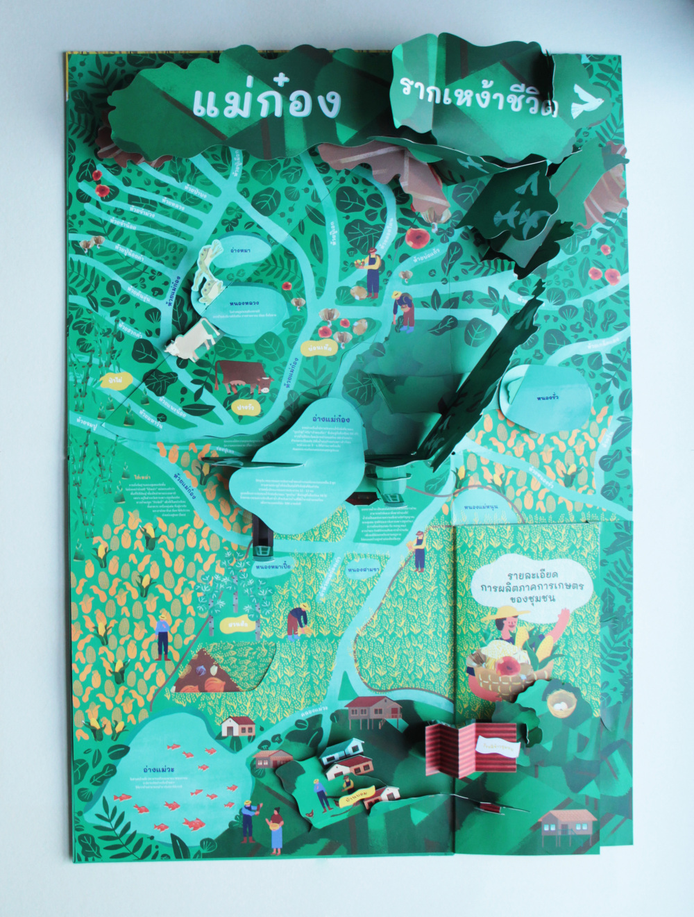 MAE-TA POP-UP MAP — Greenpeace - Ben_Benjarat