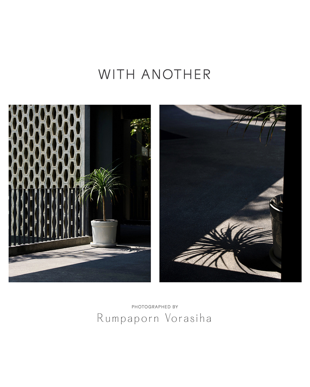 WILD BLISS — PRY1 RESORT - Ben_Benjarat