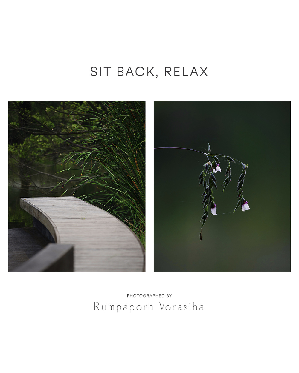 WILD BLISS — PRY1 RESORT - Ben_Benjarat