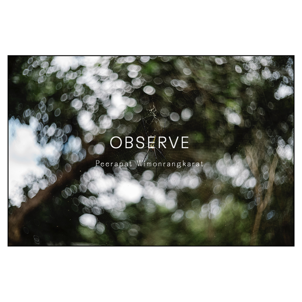 WILD BLISS — PRY1 RESORT - Ben_Benjarat