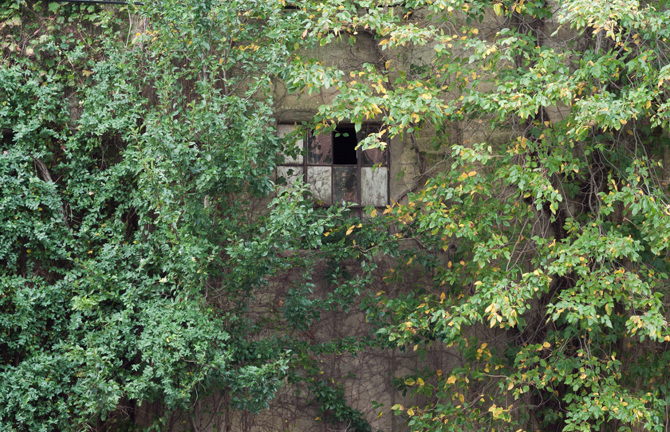 Revisiting - Emily Jennie Meissner