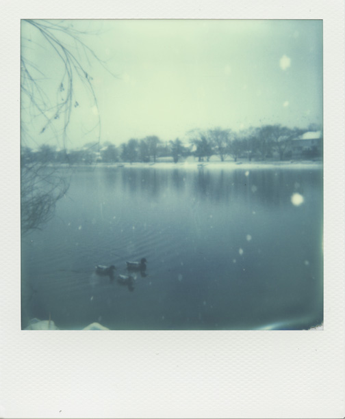 Polaroids - Emily Jennie Meissner