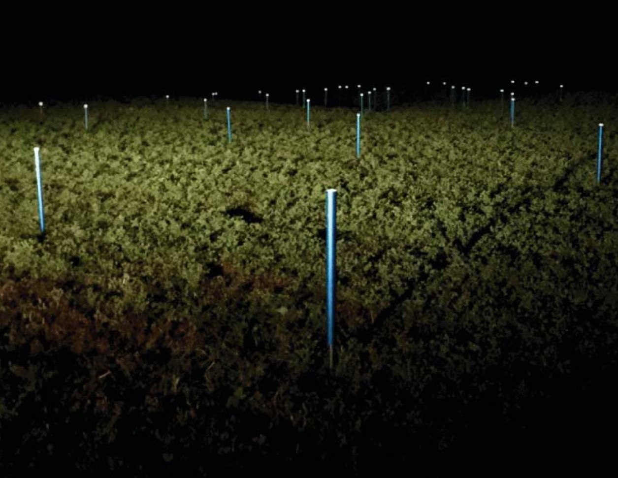 Land Chimes - Jamie Topper