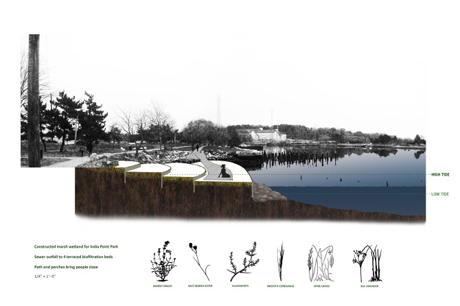 Landscape Renderings - Jamie Topper