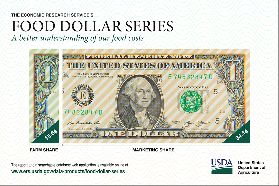 Food Dollar Series - Ethiene Salgado