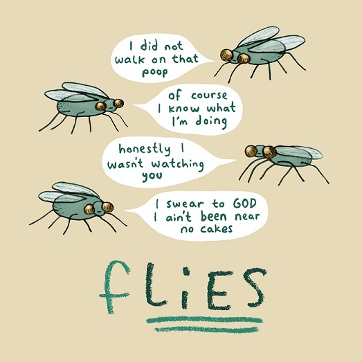 Puns & Word-Play - Sophie Corrigan