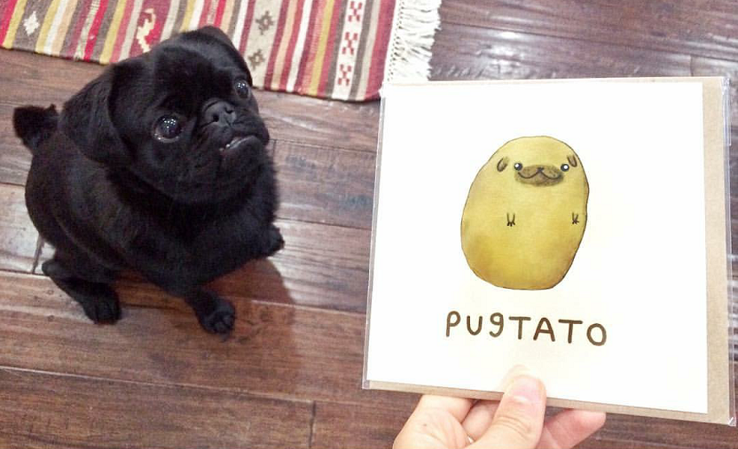 Pugtato - Sophie Corrigan