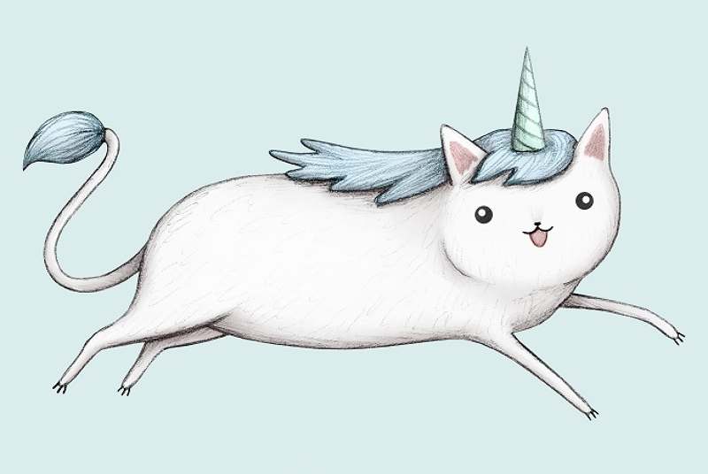 Musical Animals - Sophie Corrigan